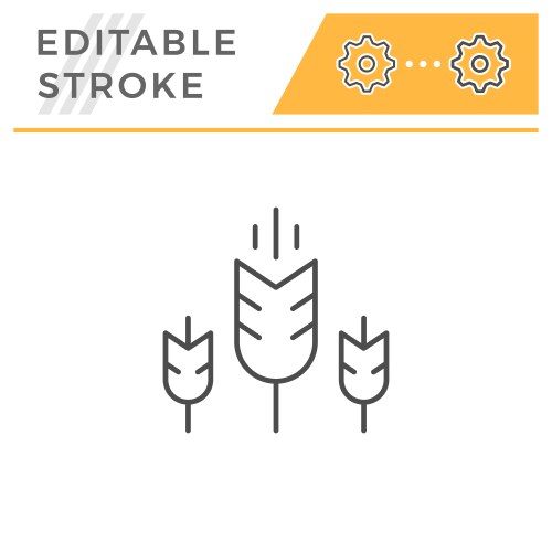 Wheat grain line outline icon Royalty Free Vector Image