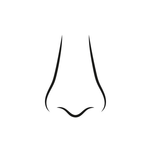 Human nose with nostrils Royalty Free Vector Image
