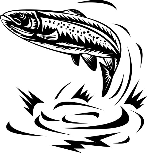 Fish Vector Images (over 530,000)
