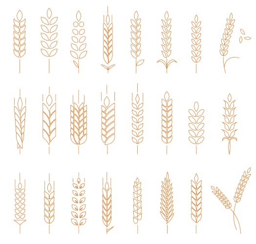 Barley Vector Images (over 37,000)