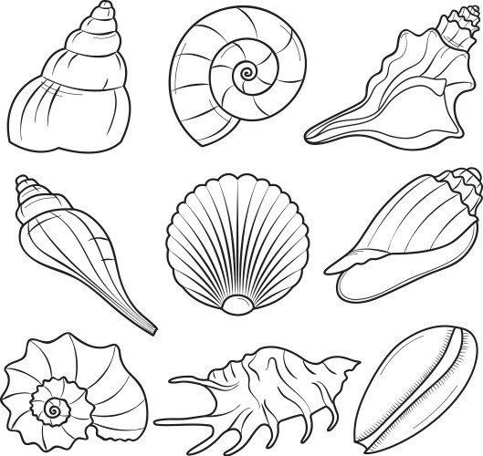 Hand drawing seashell set Royalty Free Vector Image