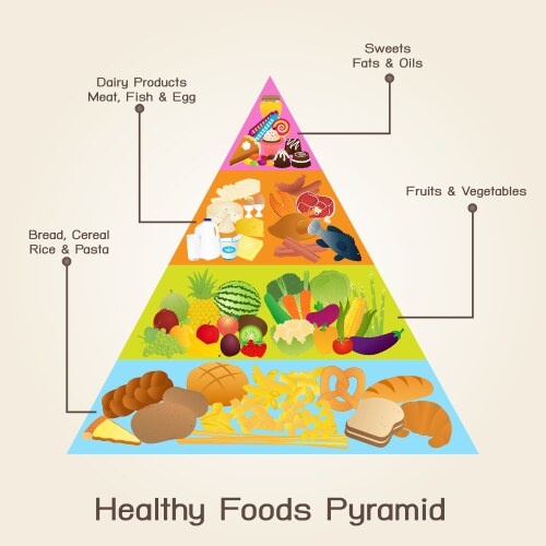 Healthy food pyramid infographic pictures Vector Image