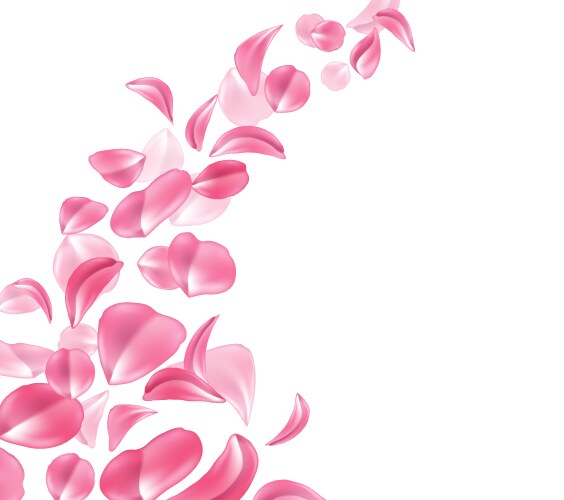 Petal Vector Images (over 310,000)