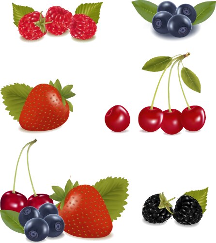 Berries set strawberry Royalty Free Vector Image