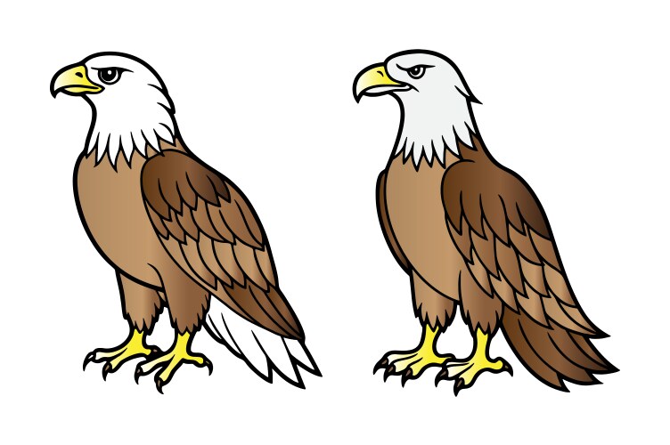 Flying eagle a set of frames for 2-d animation c Vector Image