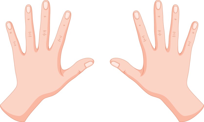 A human hand cartoon Royalty Free Vector Image