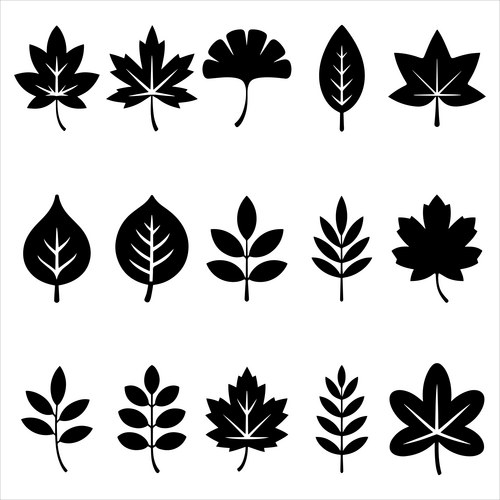 Winter Flora Silhouettes – Royalty-Free Vector | VectorStock