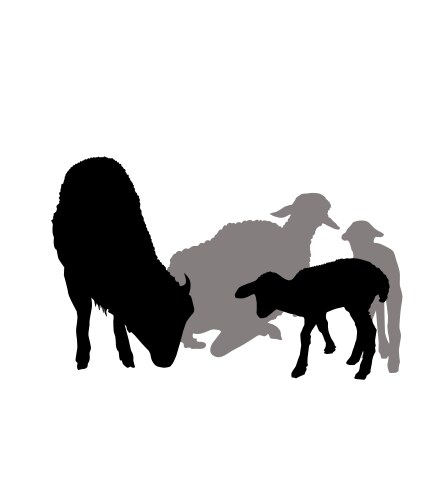 Sheep Vector Images (over 52,000)