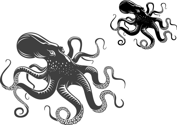 Octopus Vector Images (over 35,000)