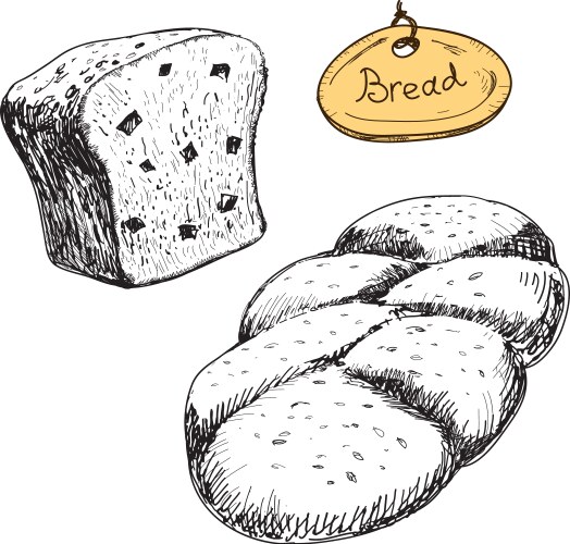 Greek feta cheese block drawing hand drawn Vector Image