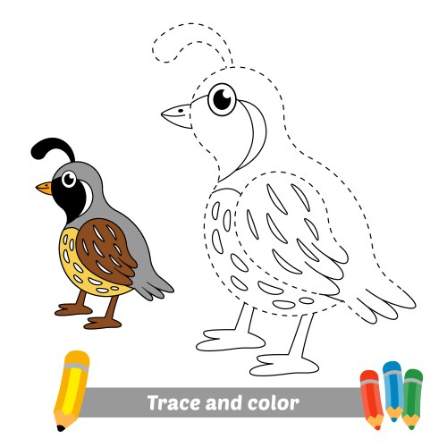 Trace and color for kids bird house Royalty Free Vector