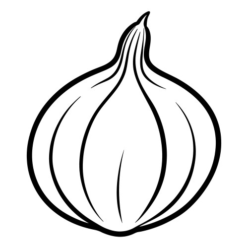 Onion Line Art Vector Images (over 3,100)