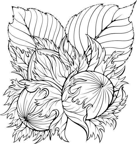 Fossil ammonite line art Royalty Free Vector Image