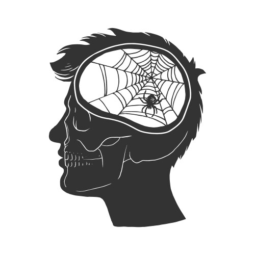 Human Head Anatomy Diagram – Royalty-Free Vector | VectorStock