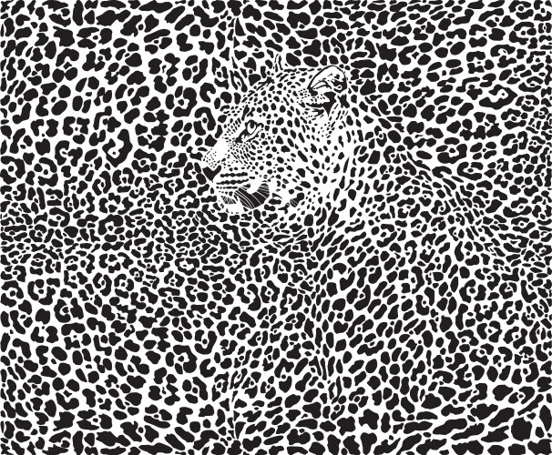 Leopard Vector Images (over 43,000)
