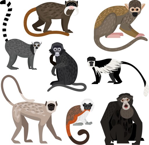 Diverse Primates Collection Royalty Free Vector Image