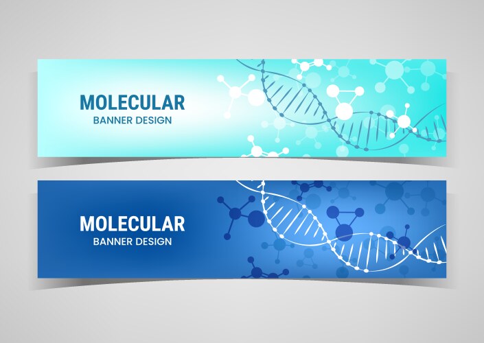Dna connect icons chemistry and biology science Vector Image