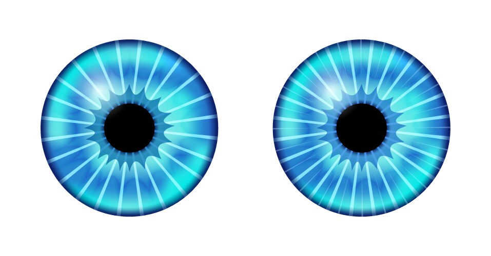 Human iris poster Royalty Free Vector Image - VectorStock