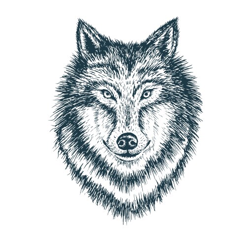 Wolf Vector Images (over 39,000)