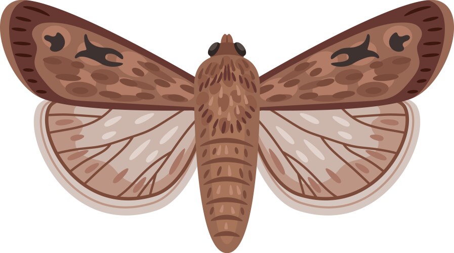 Moth Cartoon Vector Images (over 5,800)
