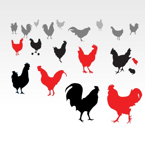 Chicken Vector Images (over 220,000)