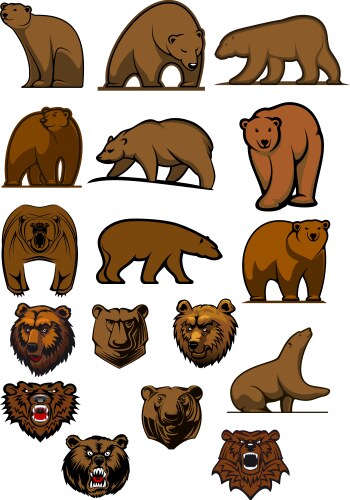 Grizzly Vector Images (over 23,000)