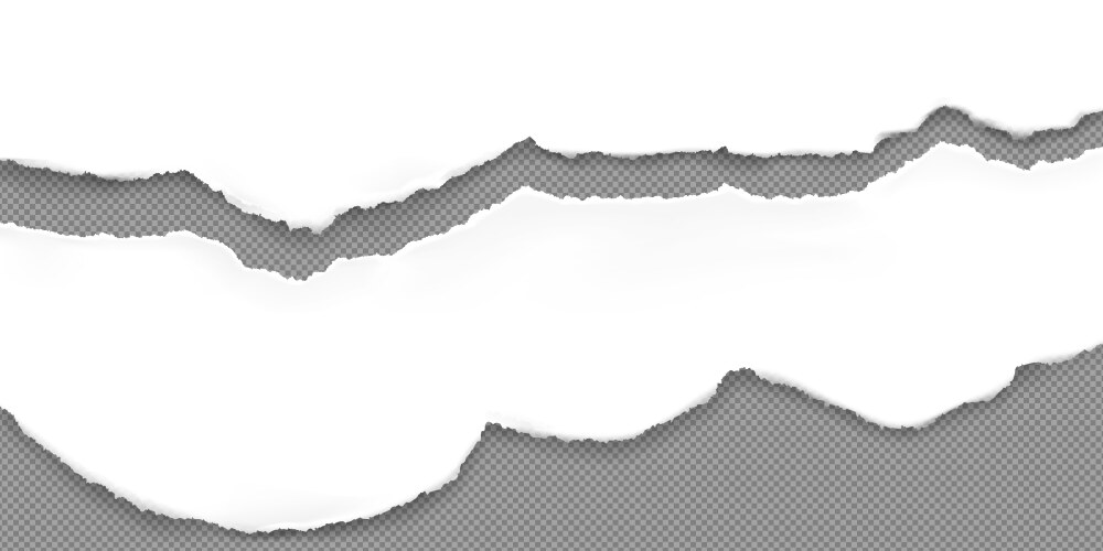 White ripped paper border isolated Royalty Free Vector Image