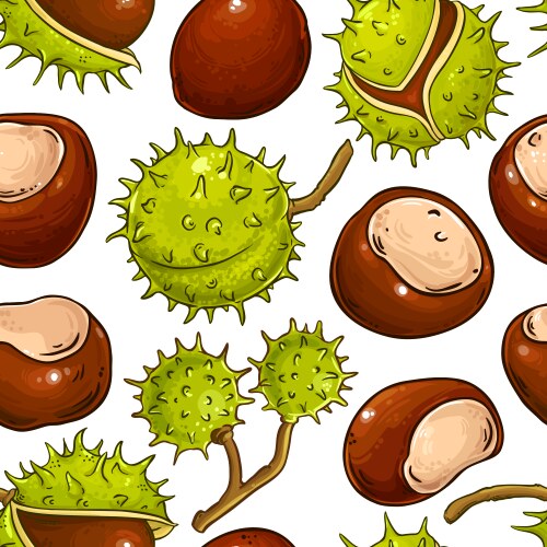 Chestnut elements on white background Royalty Free Vector