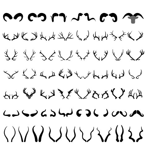 Cattle Horns Vector Images (over 20,000)