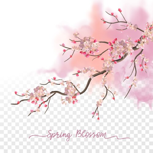 Hello spring Royalty Free Vector Image - VectorStock