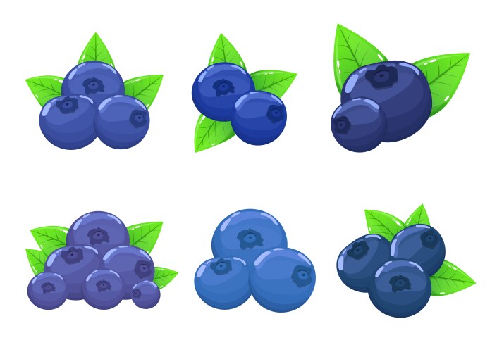 Blueberry Vector Images (over 27,000)