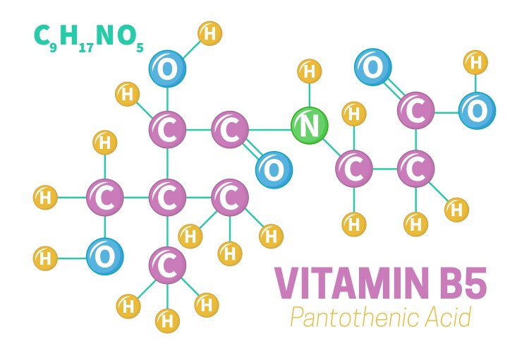 Pantothenic acid vitamin b5 molecule formula Vector Image