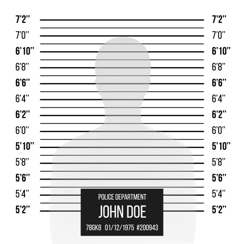 Police mugshot Royalty Free Vector Image - VectorStock