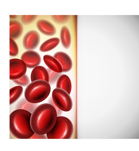 Red blood cells Royalty Free Vector Image - VectorStock