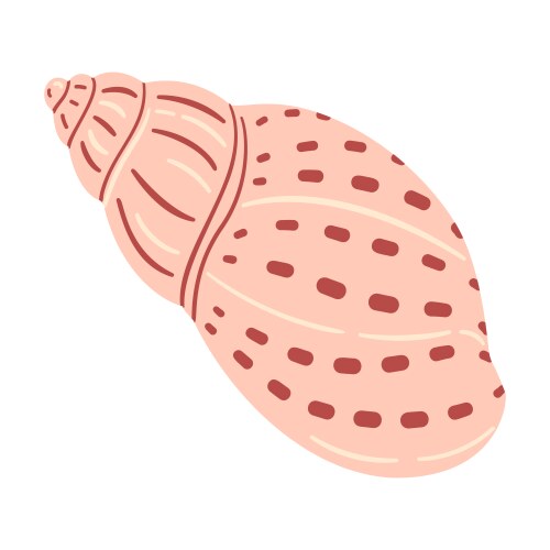 Cone seashell hand drawn cartoon style flat Vector Image
