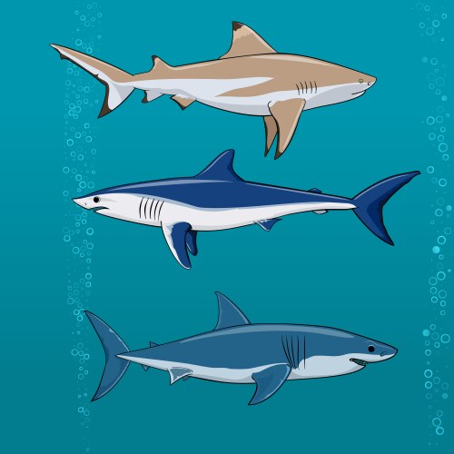 Shark Vector Images (over 36,000)