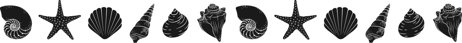 Seashell and starfish outline border divider sea Vector Image