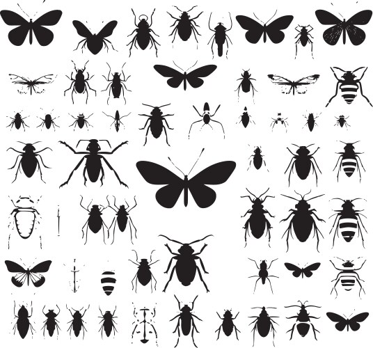 Insect Outlines Vector Images (over 52,000)