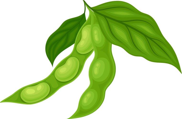 Soybean Vector Images (over 6,700)