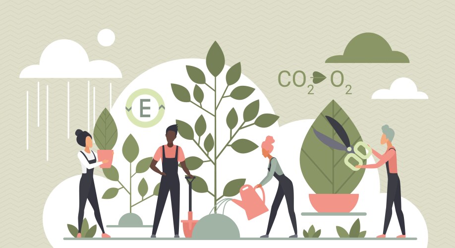 The Carbon and Oxygen Cycle Vector Images (over 260)