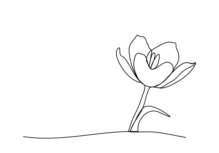Flower one line drawing Royalty Free Vector Image