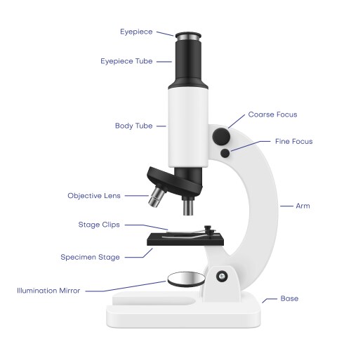 Names Vector Images (over 370,000)