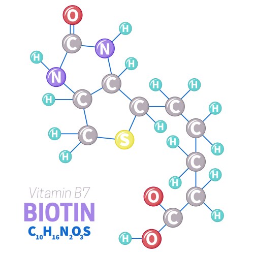 Vitamin B7 Vector Images (over 220)