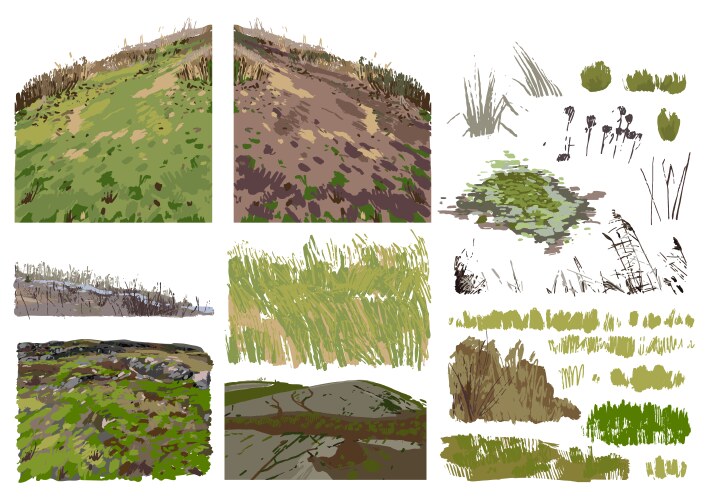 Grass leaves and roots Royalty Free Vector Image