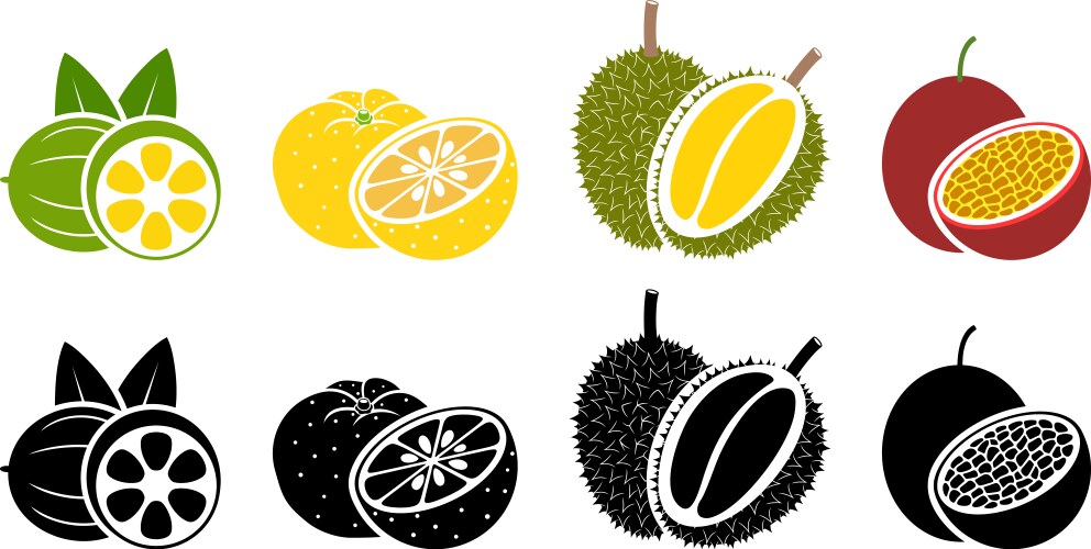 Yuzu fruit Royalty Free Vector Image - VectorStock