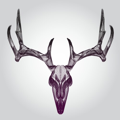 Deer skull with rifle Royalty Free Vector Image