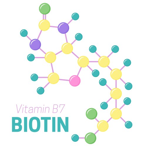 Vitamin B7 Vector Images (over 220)