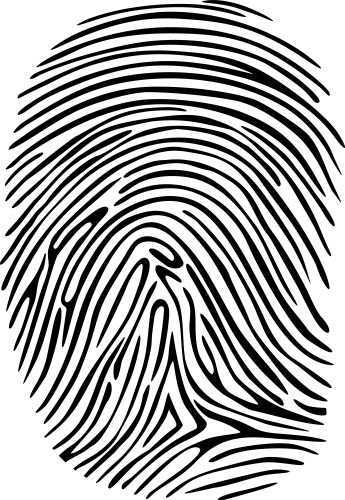 Fingerprint Royalty Free Vector Image - VectorStock
