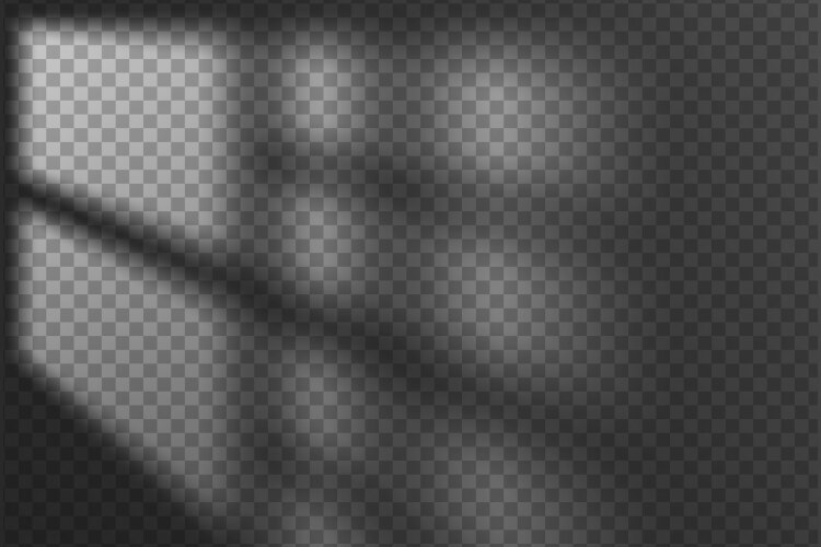 Light effect shadow overlay from arched window Vector Image