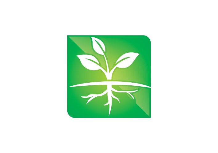 Plant seed organic green logo Royalty Free Vector Image
